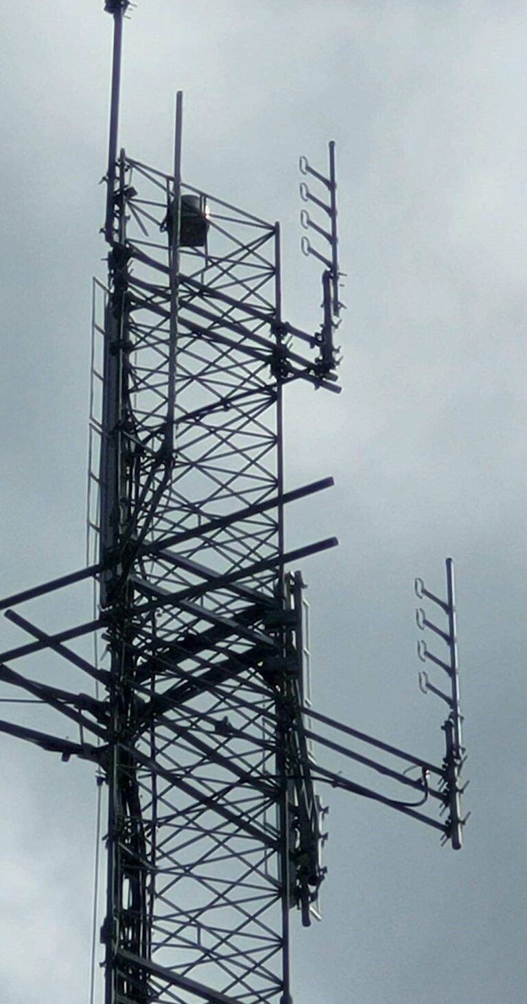 News | West Central Florida Group, Inc. News News